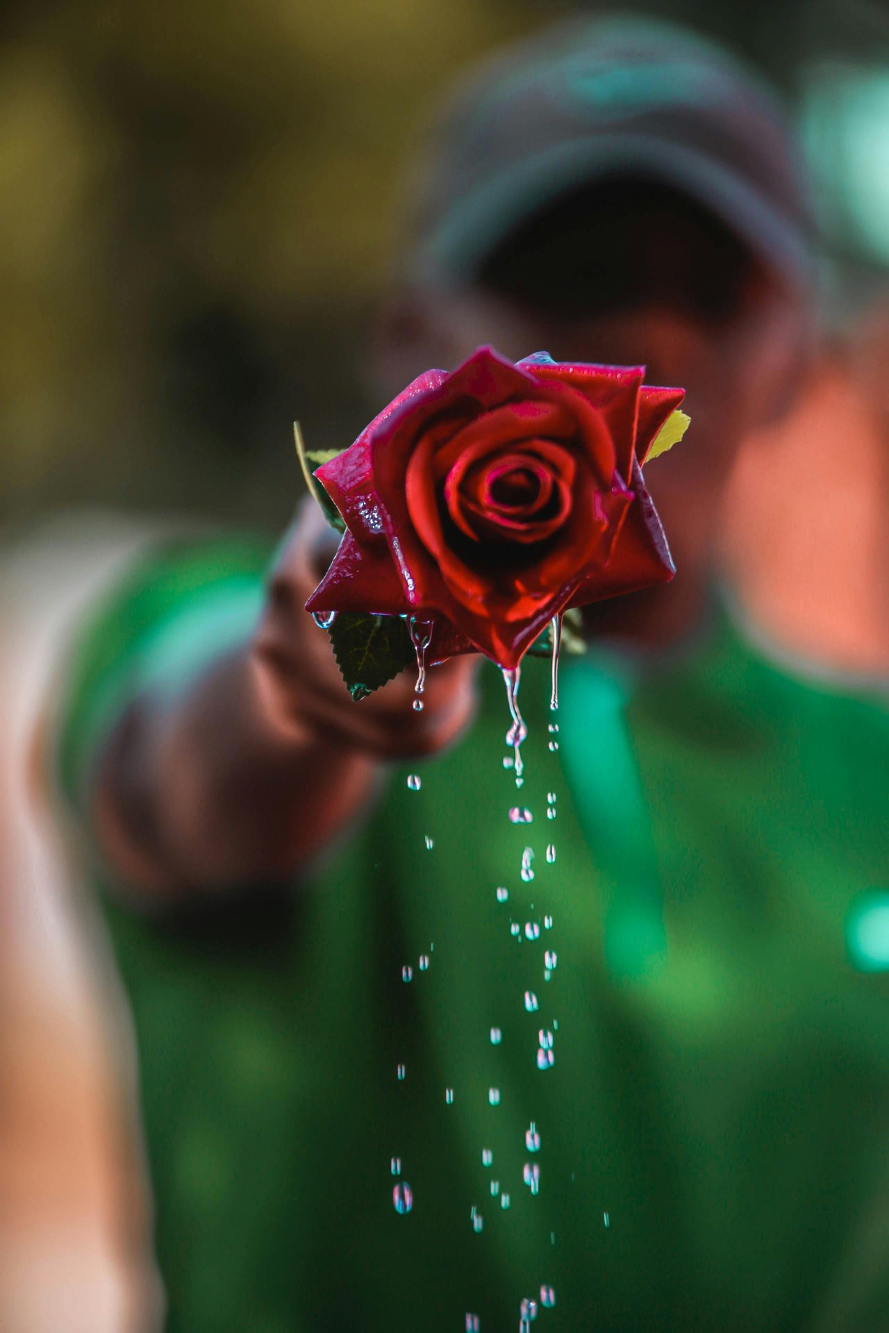 Contact Premier Flowers – Wholesale Flower Supplier UK